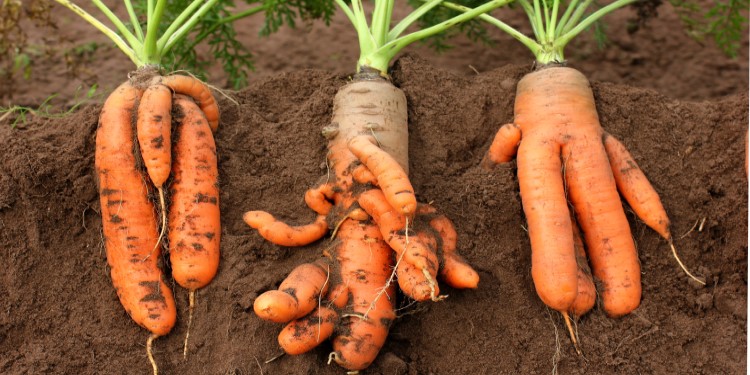 Deviation Management in Pharma: A Complete Compliance Guide