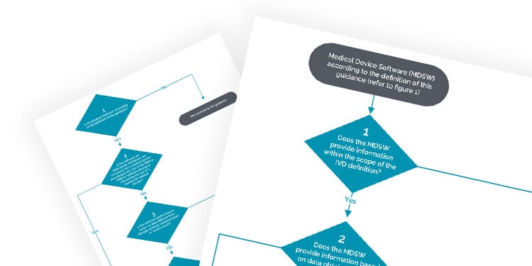 MDSW, IVDR, MDR and the new guidance from the EU