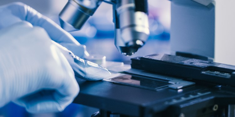 Medical device audits: what, when, how and who?